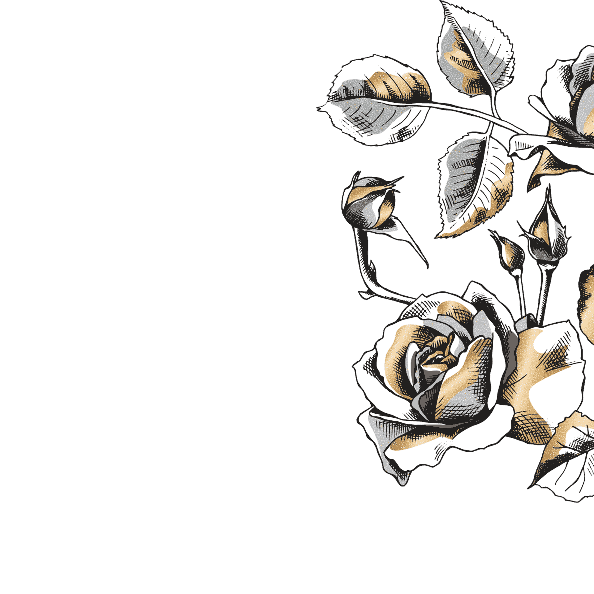 Meet Juliet Rose • Juliet Rose